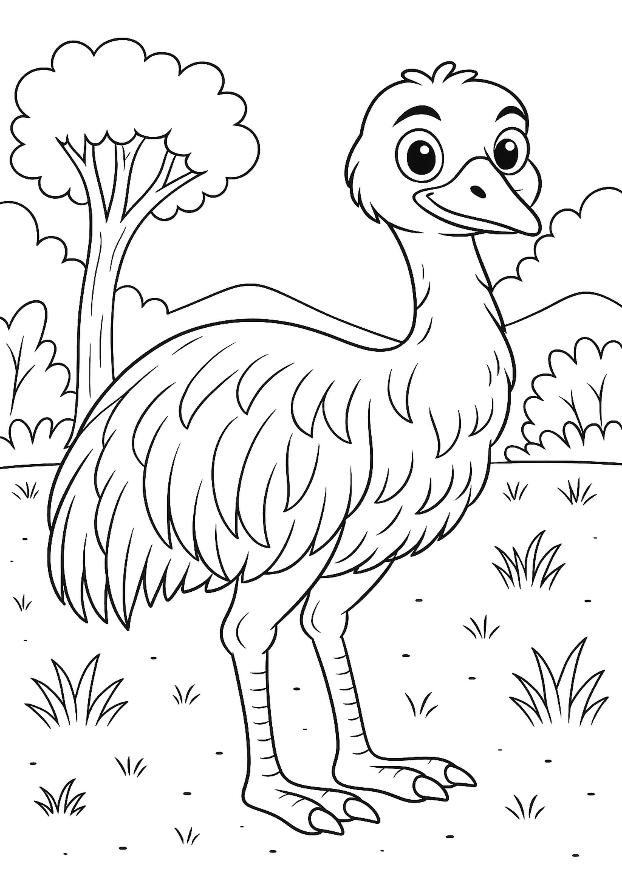 10 Australian Animals Coloring Pages – Printable A4 Kids Coloring Pack ...