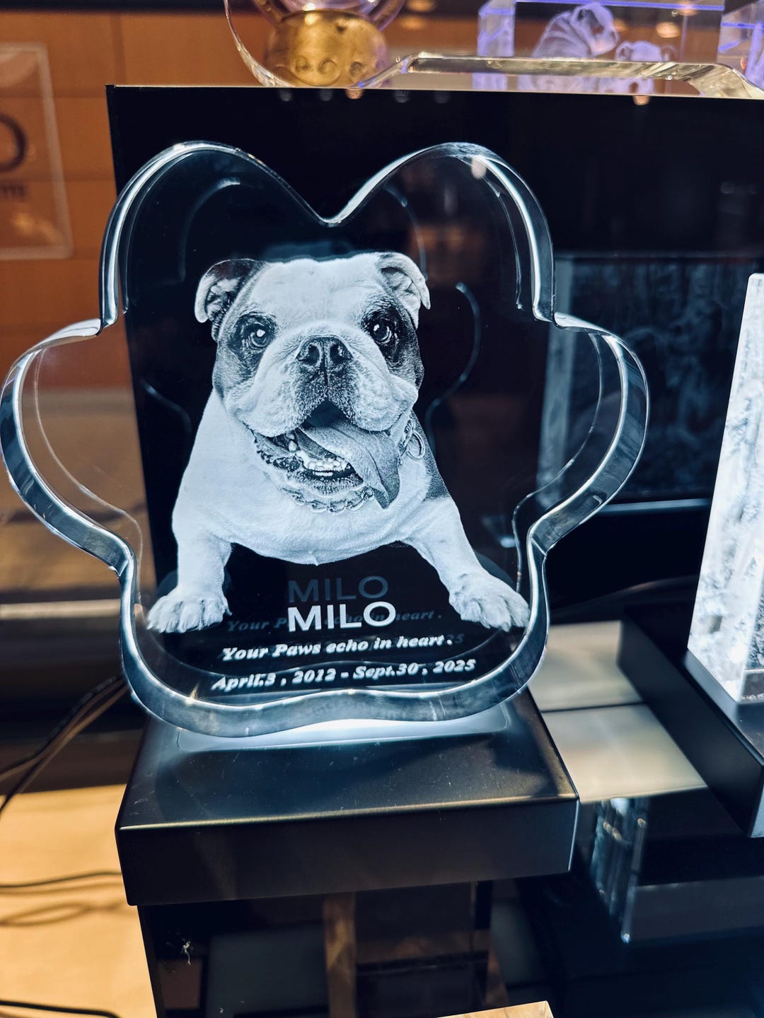 Personalized Pet Photo 3D Crystal - Paw or Bone - Pet Memorial - Etsy