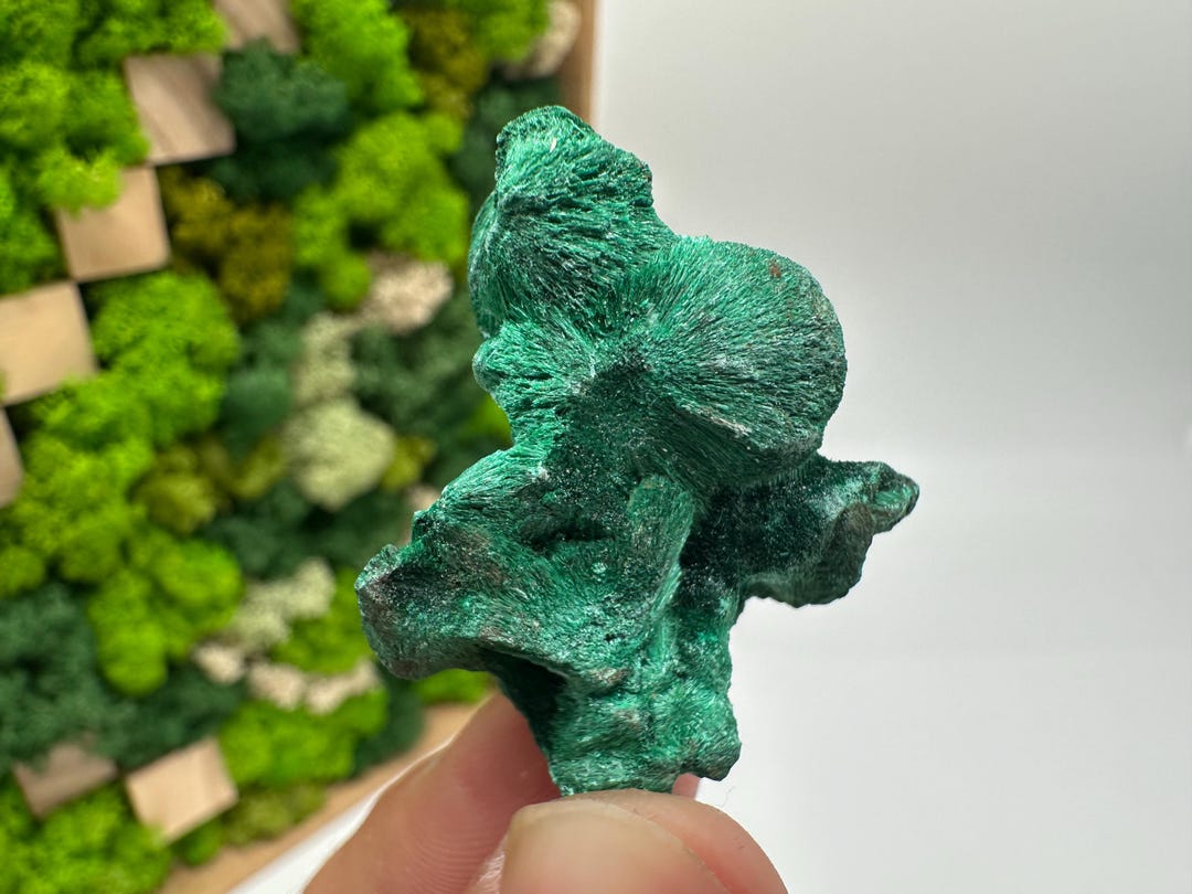 Fibrous Malachite Crystal Specimen, Congo Mineral, Chakra Stone - Etsy