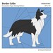 Border Collie Quilt Block Pattern: FPP PDF (10x12 Inch) - Etsy