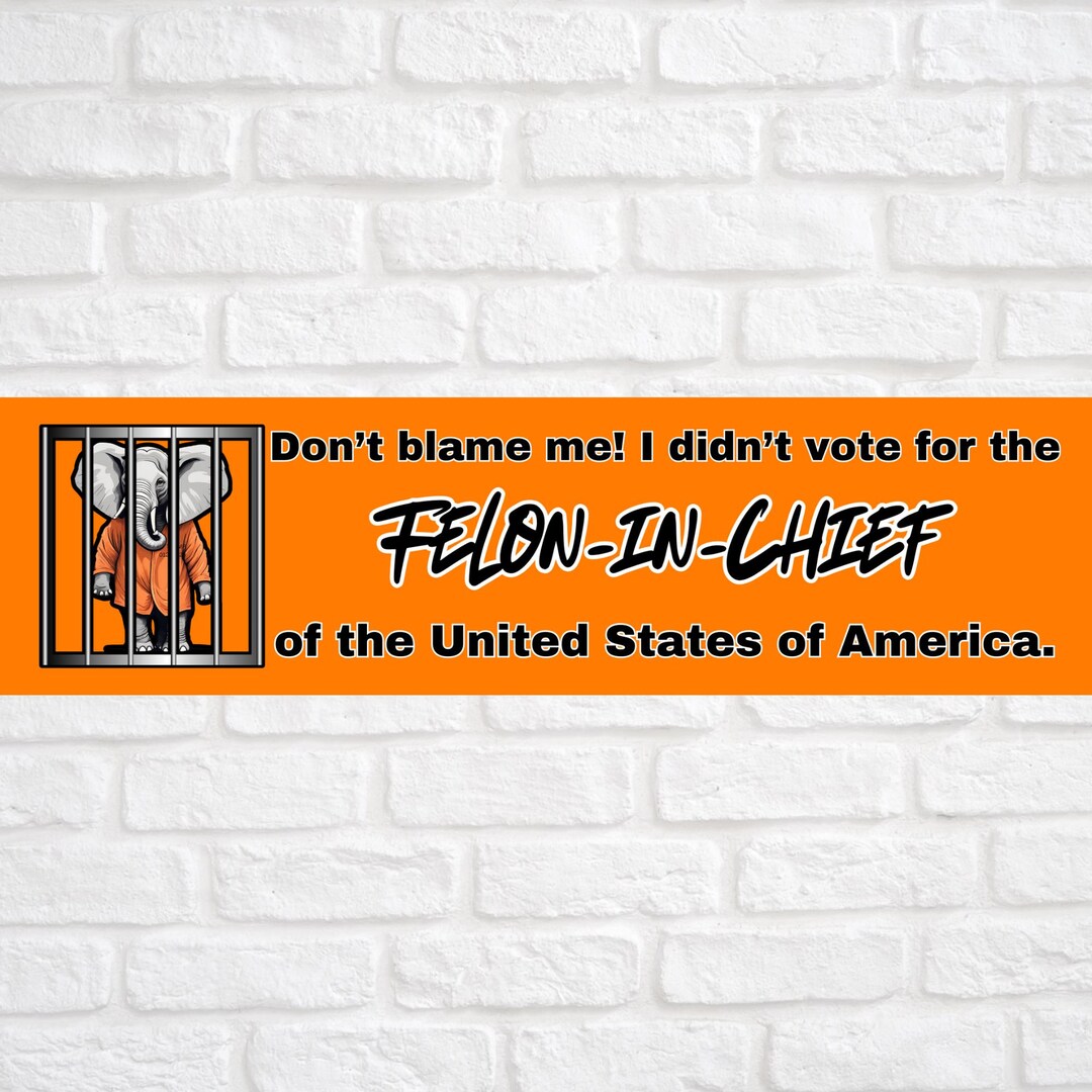 Don't Blame Me! Bumper Sticker, Felon-in-chief, Orange First Felon ...