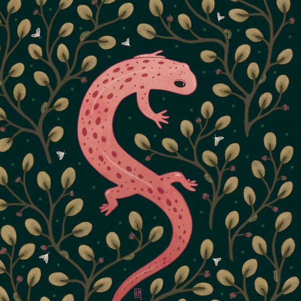 Salamander Wall Art - Etsy