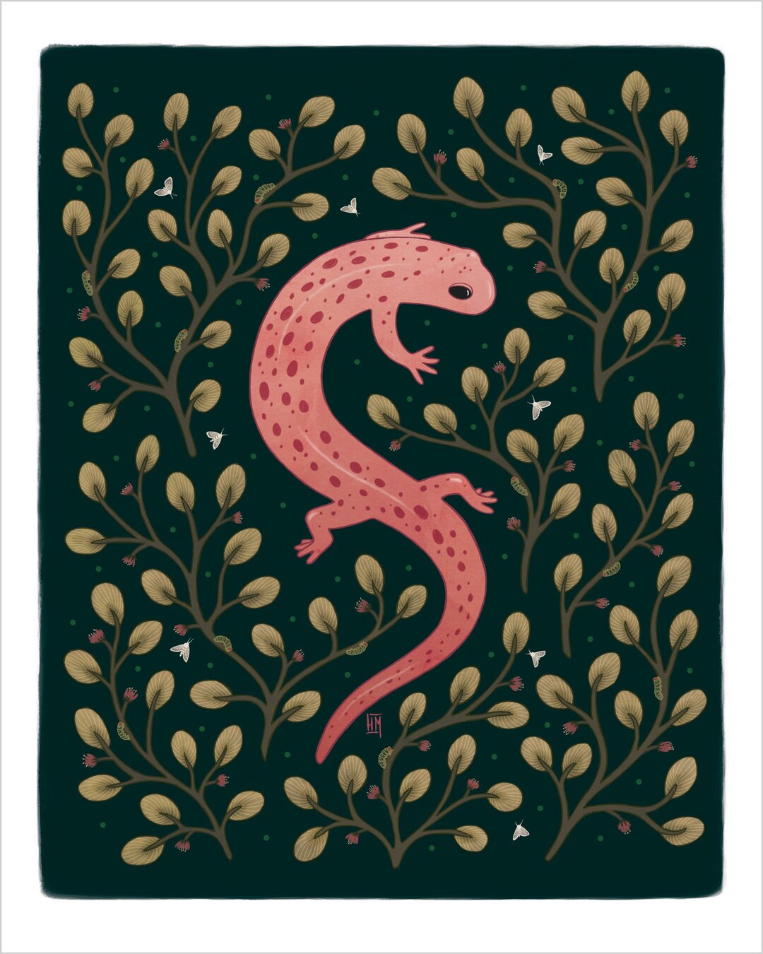 Red Salamander Giclee Art Print, Amphibian Art, Cute Salamander Wall ...