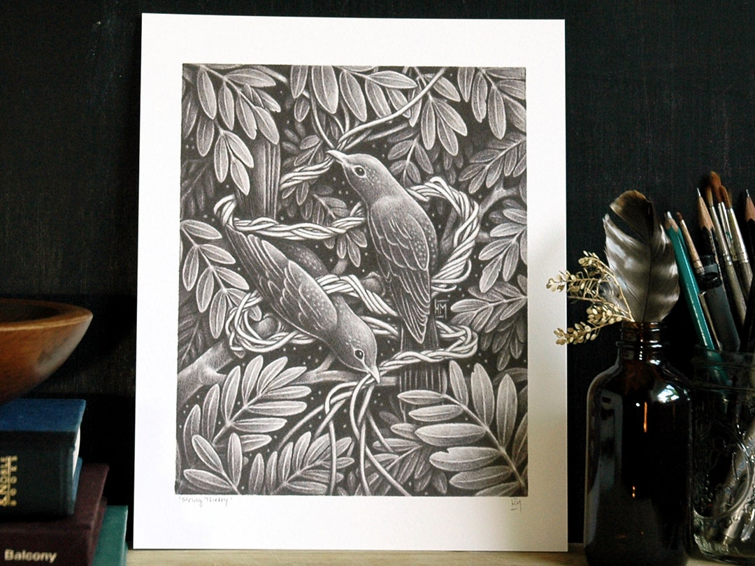 Graphite Birds 8x10 Giclee Art Print, Bird Drawing, Graphite ...