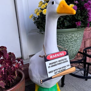 Porch Goose Sign, Goose Accessories for 23”- 27” Goose, Funny Mess With ...