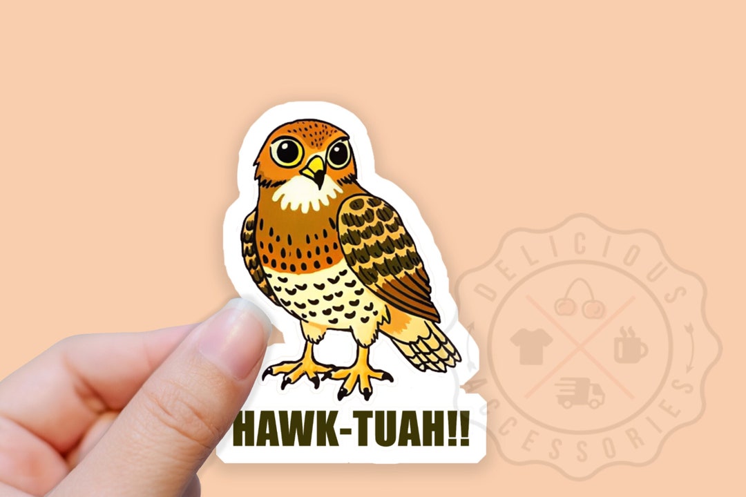 FUNNY HAWK TUAH Sticker, Raptor Decal, Spit on That Thang, Viral Meme ...