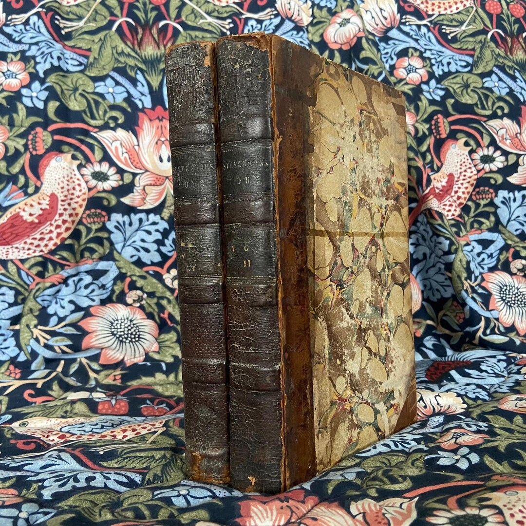 RARE Antique Book Seth William Stevenson 1827 Stevenson's TOUR Europe ...