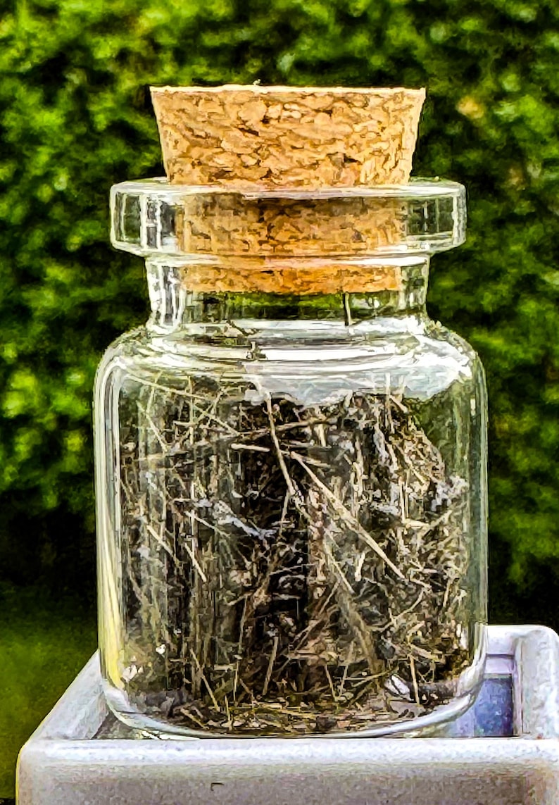 Vial (2”) of Loose Strands of Raw Untouched Pele’s Hair (golden ...