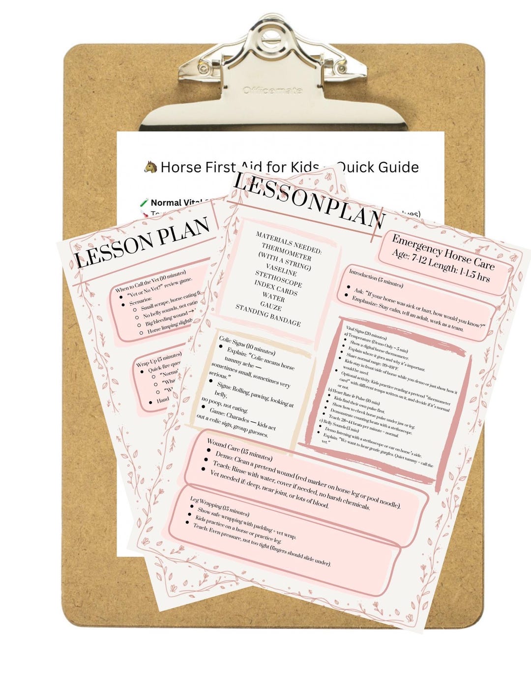 Emergency Horse Care Lesson Plan for Kids | Equine First Aid Teaching ...