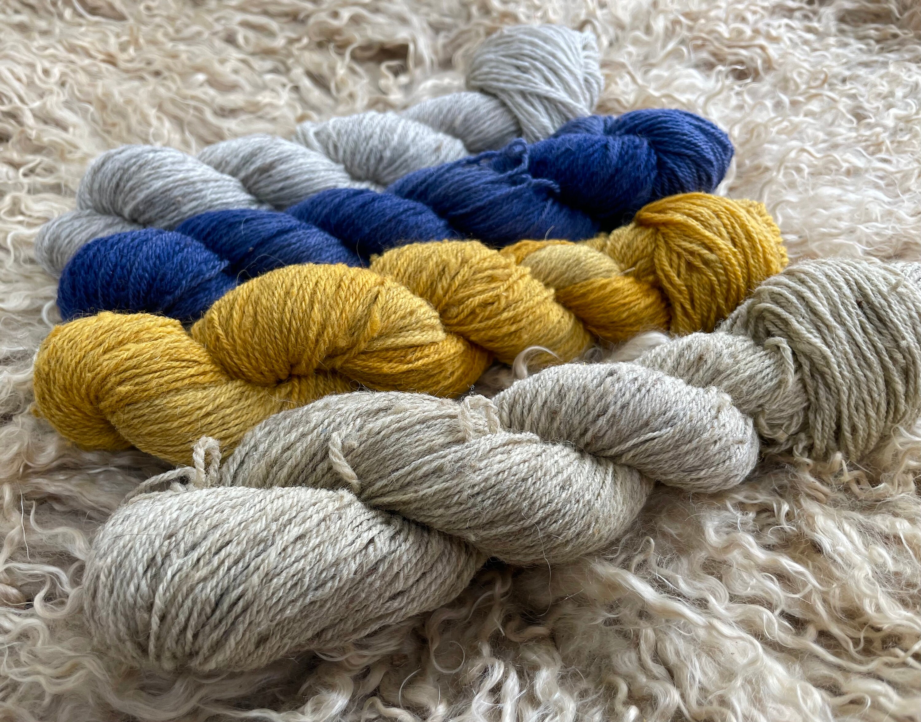 Yarn Shop at Wing + A Prayer Farm — Wing & A Prayer Farm