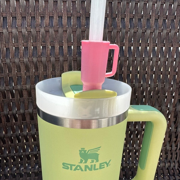 Stanley Cup Decorations - Etsy