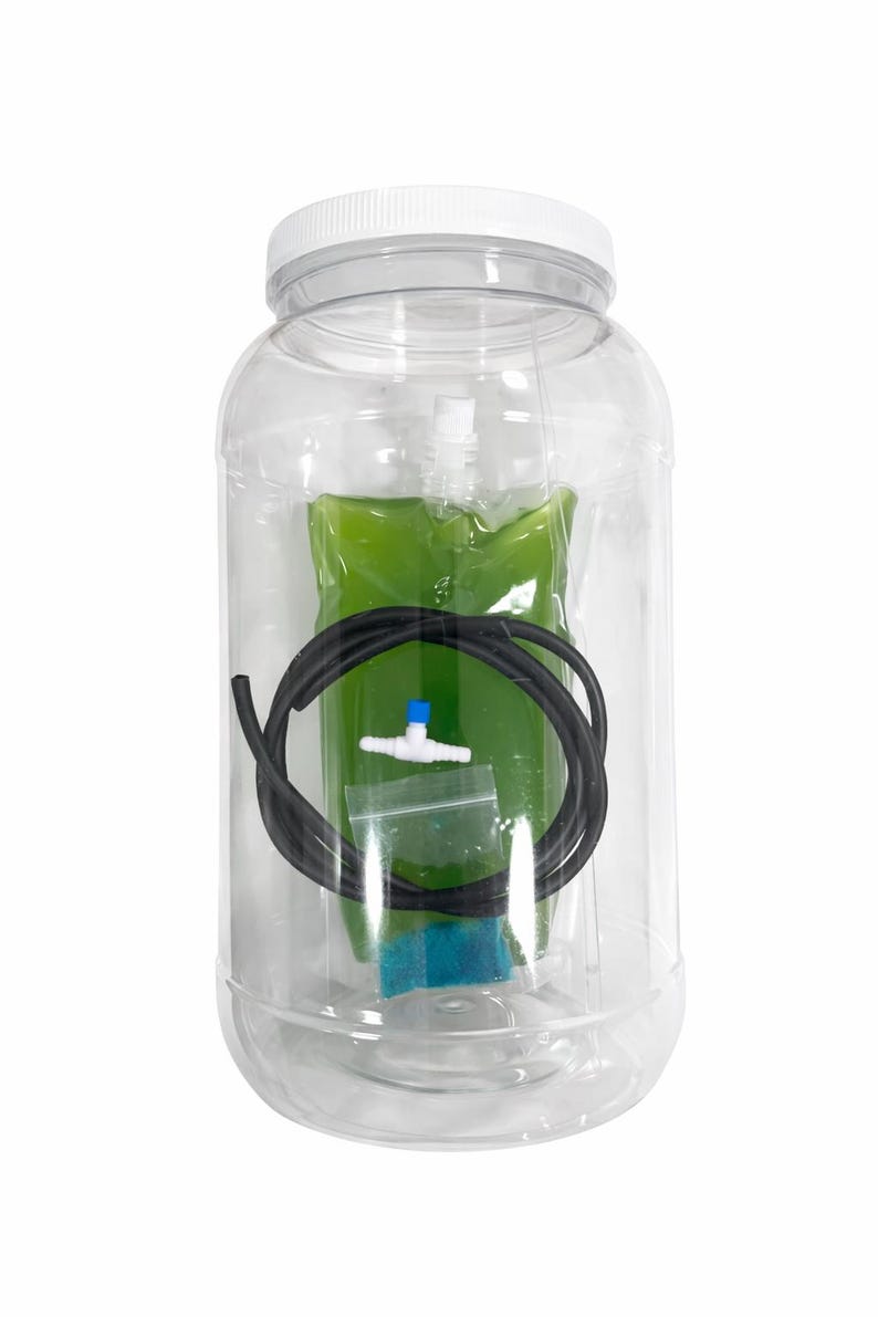 Live Green Water Culture Starter Kit – Fish Fry & Microfauna Food - Etsy