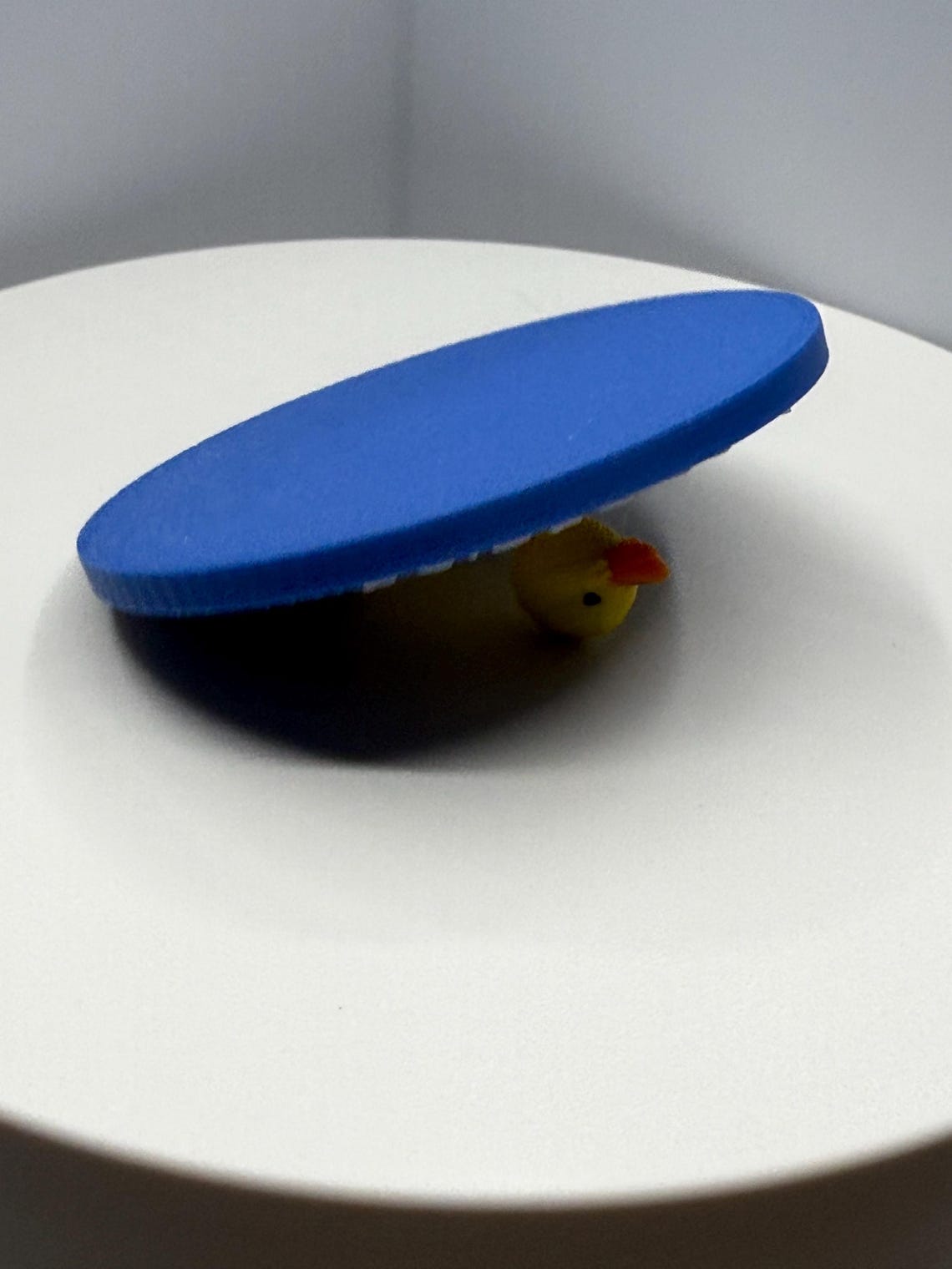 Norwegian Cruise Duck Coins - Keep or Hide - 15pc PLA Plastic - Etsy