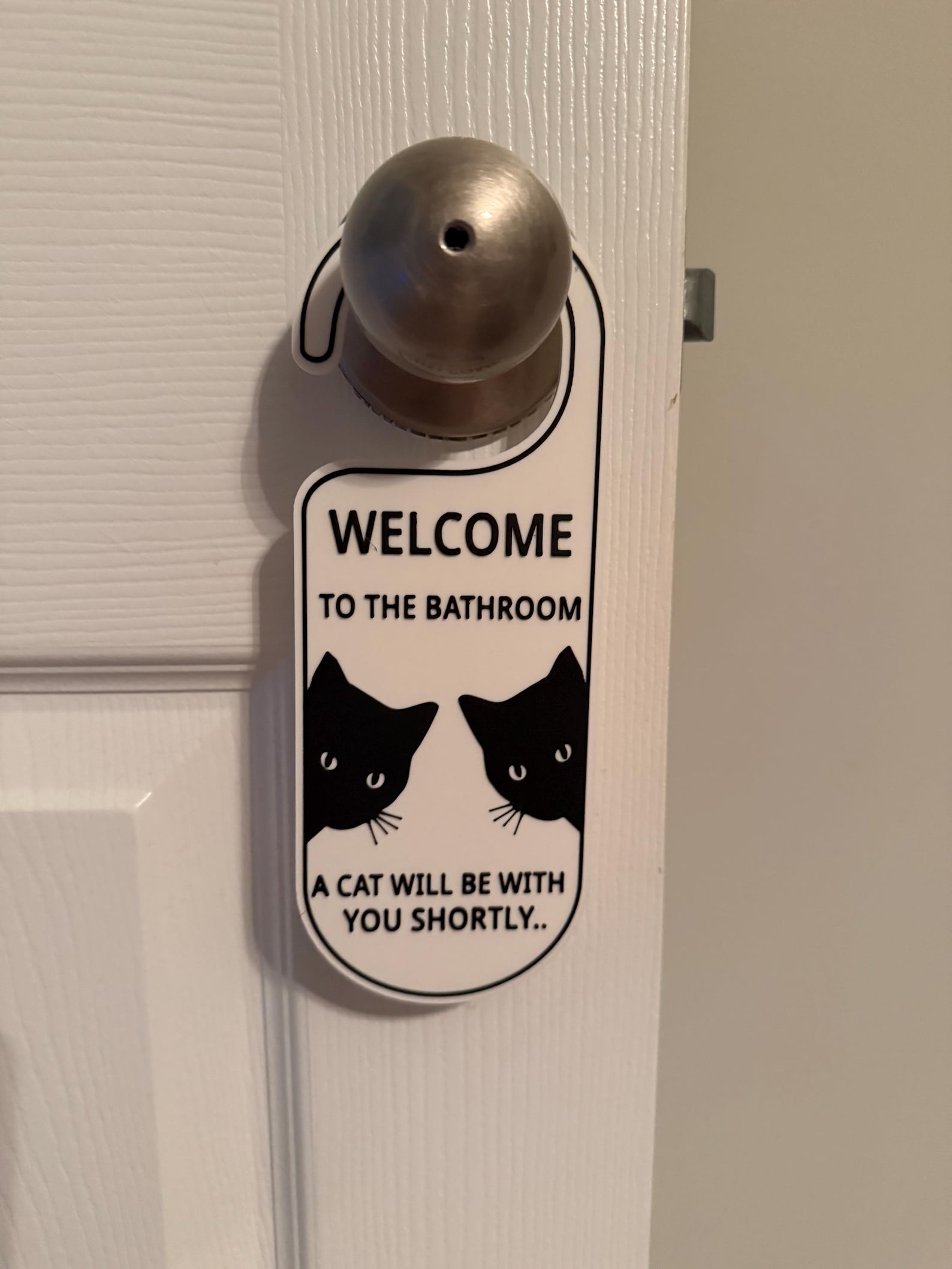 Funny Cat Door Hangers - Etsy