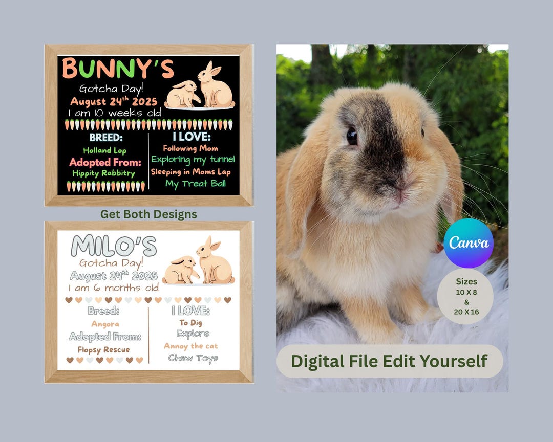 Rabbit Gotcha Day Sign: Customizable Bunny Adoption Photo Prop (digital ...