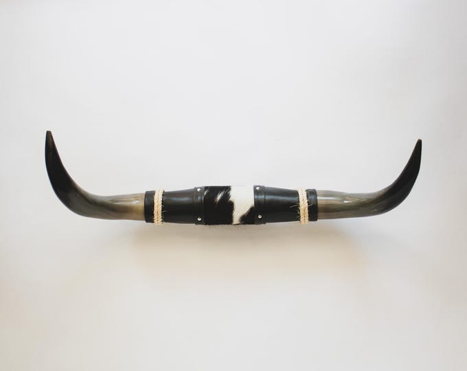 Black Steer Horn Mount From Mexico, Wide Mounted Bull Horns, Rustic ...