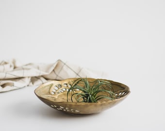 Anthurium Red Crystallinum Variegated - Etsy UK