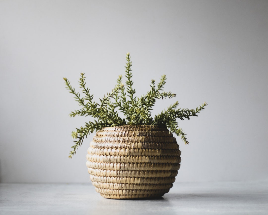 Natural Coil Plant Basket, Small Plant Holder Basket, Organic Modern ...
