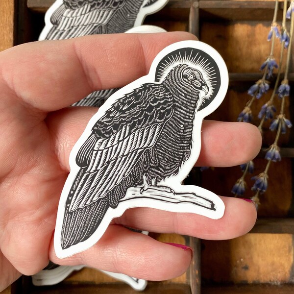 Turkey Vulture Print - Etsy