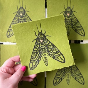Hawk Moth Block Print - Entomology Sphinx Moth Bugs Insect Nature ...