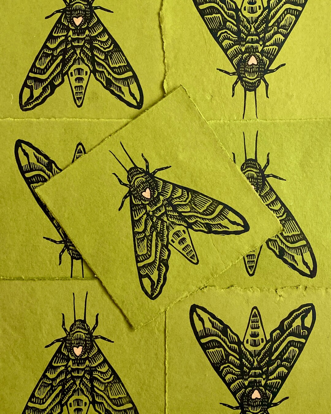 Hawk Moth Block Print - Entomology Sphinx Moth Bugs Insect Nature ...