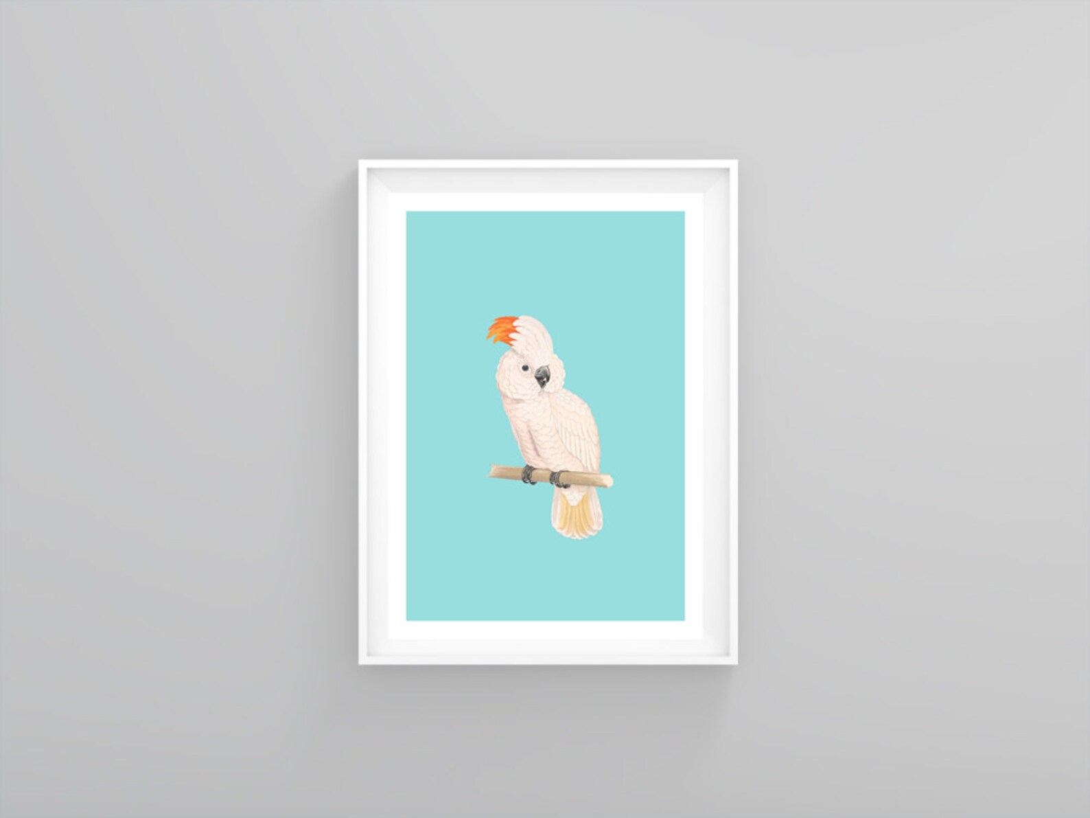 SALE Vintage Style Poster Animal Poster Animal Print Australia Poster ...