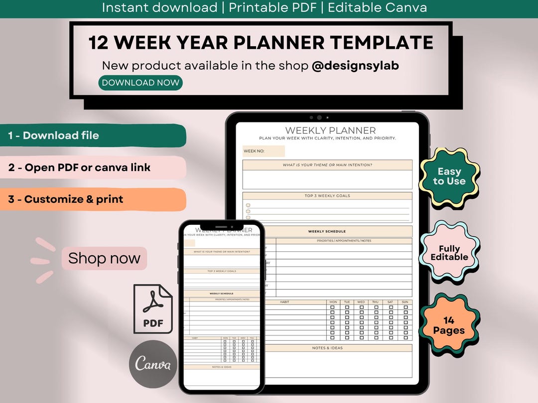 Printable 12 Week Year Planner Template PDF - Etsy UK