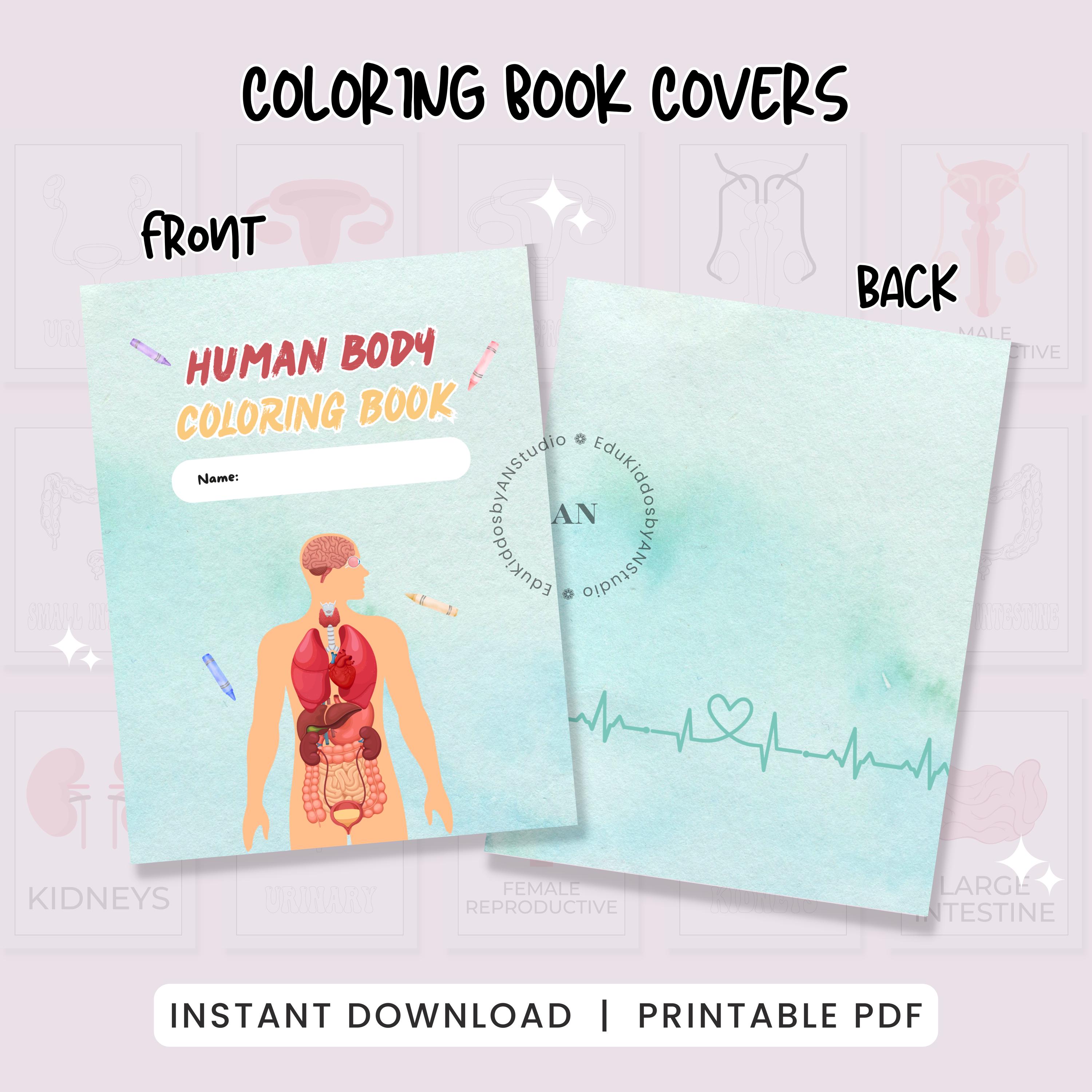 Body Parts Coloring Book, Human Anatomy Activity, Worksheets for Kids ...
