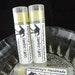 ZOMBIE FARTS Lip Balm, Vanilla Flavor Lip Balm, Humphrey's Handmade ...