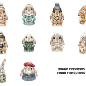 10 Dressed up Winter Bunny Clipart: Illustration Pngs (digital Download ...