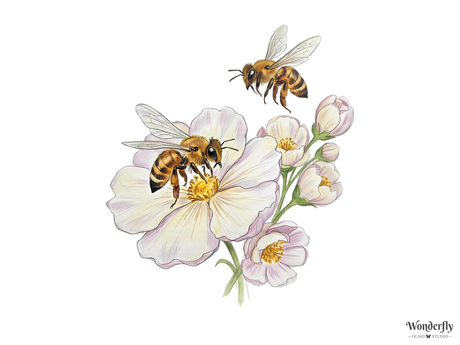 11 Bees in Flowers Clipart: Watercolor Pngs (digital Download) - Etsy