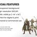 18 Elfland Character Collection Clipart: Fantasy Pngs (digital Download ...