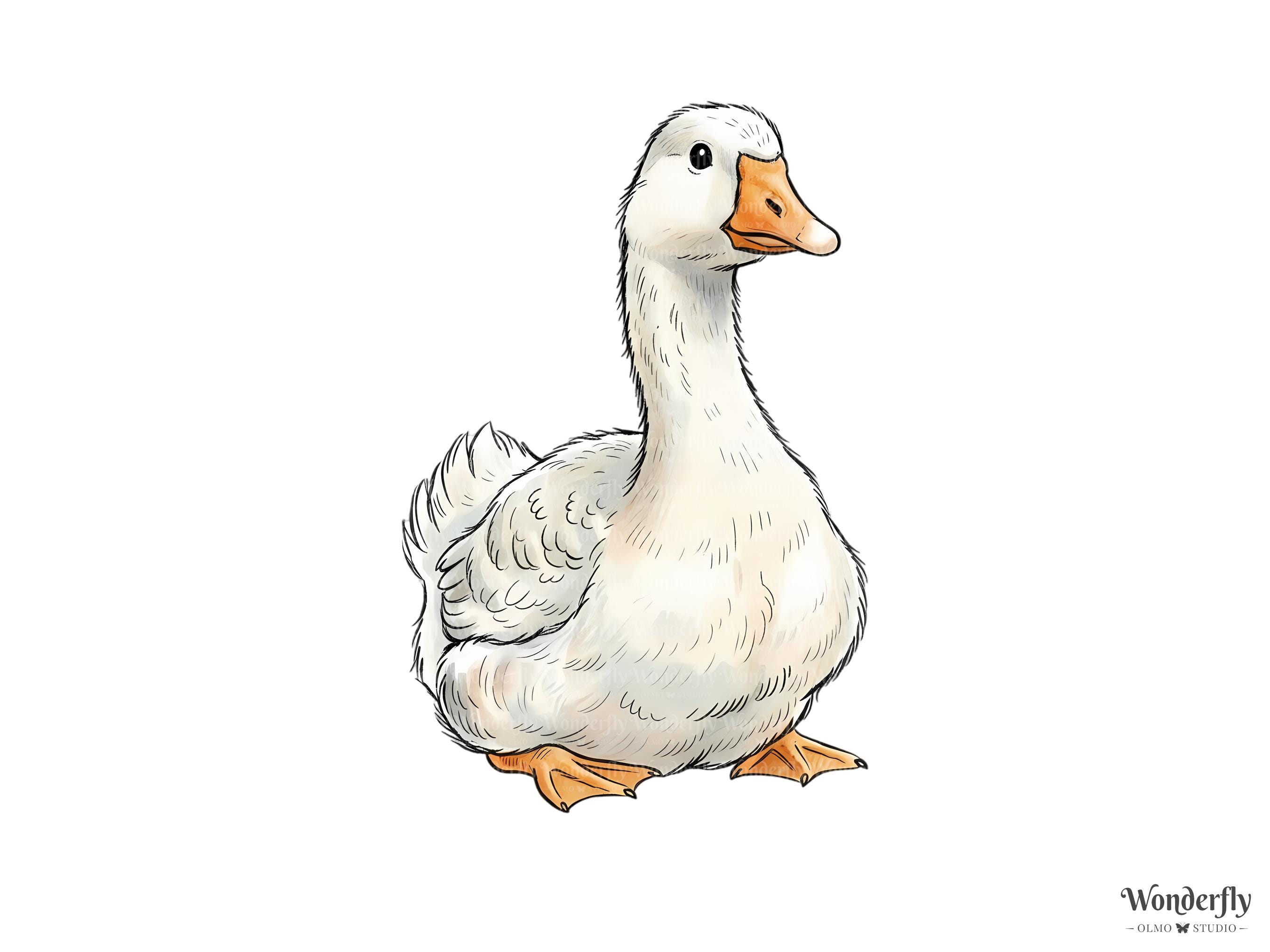 18 Whimsical Farm Animals (hatch Sketch Watercolor) Clipart ...