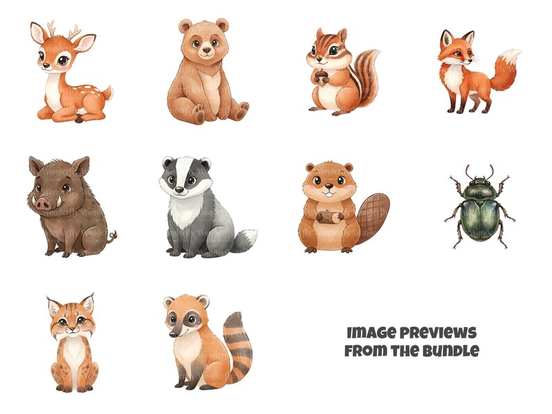 Woodland Animals Clipart Set: 50 Watercolor Forest Pngs for ...