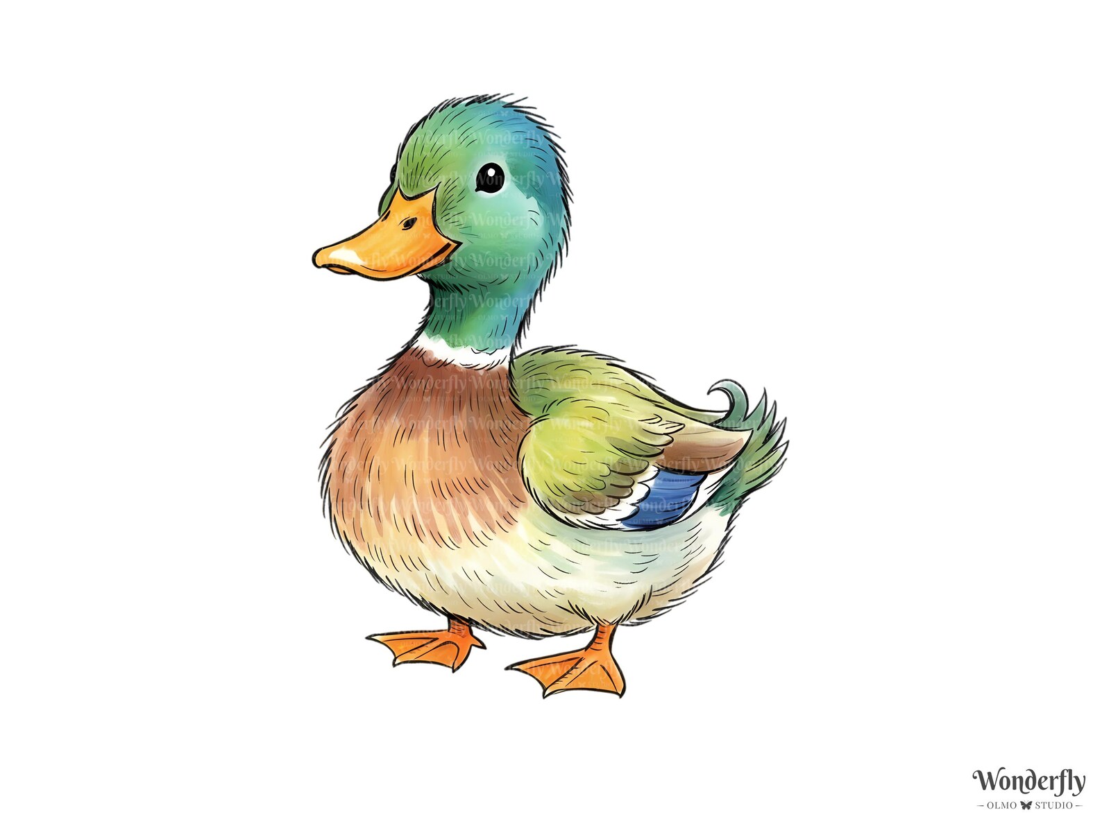 18 Whimsical Farm Animals (hatch Sketch Watercolor) Clipart ...
