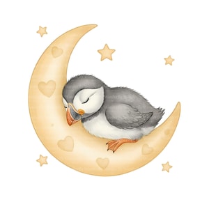 13 Watercolor Polar Animals Sleeping on the Moon Clipart: Nursery Pngs ...