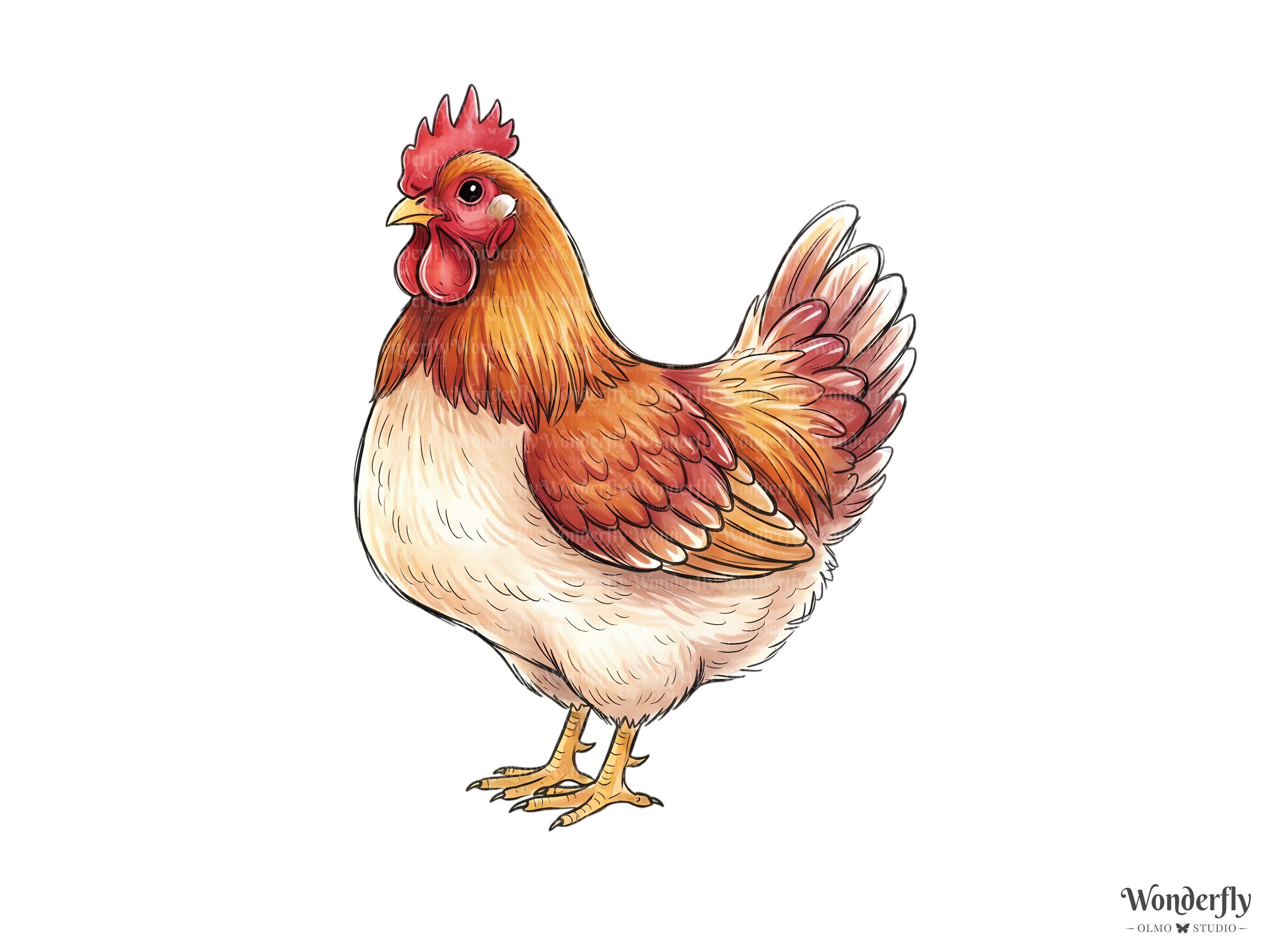 18 Whimsical Farm Animals (hatch Sketch Watercolor) Clipart ...