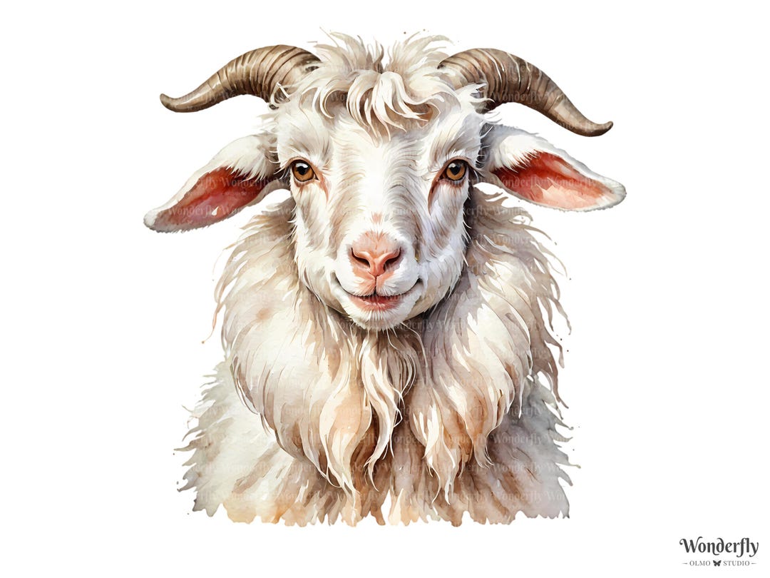 10 Watercolor Angora Goat Clipart: Wall Art Pngs (digital Download) - Etsy