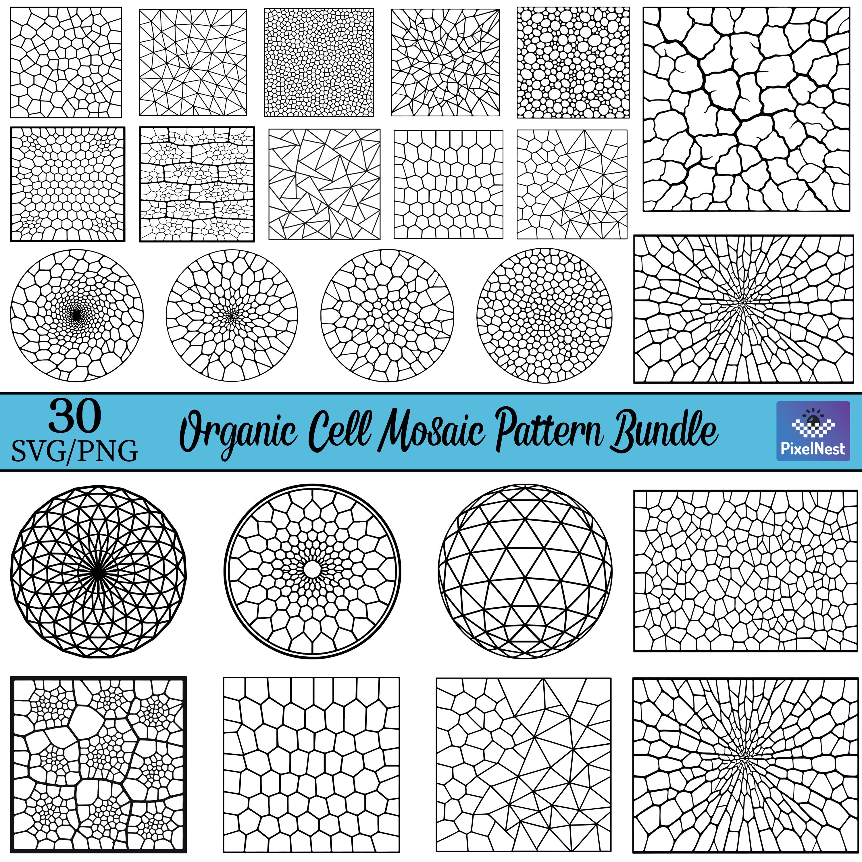 Organic Cell Mosaic SVG Bundle, Abstract Geometric Pattern PNG, Voronoi ...