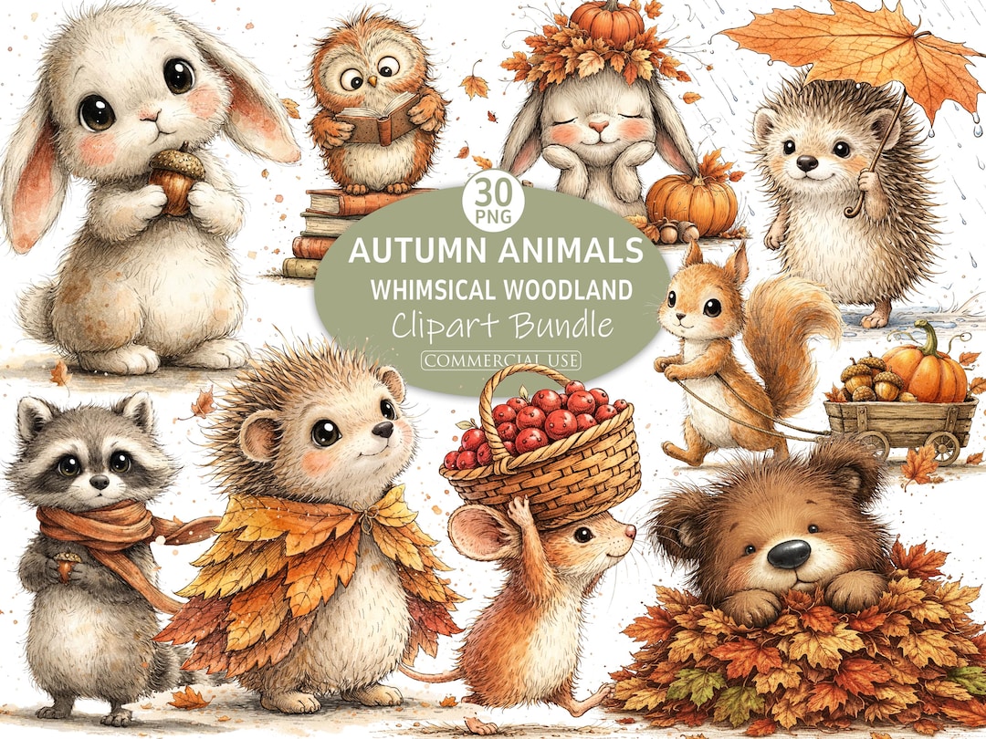 Autumn Woodland Animals Clipart Bundle, Cute Fall Forest Animals ...