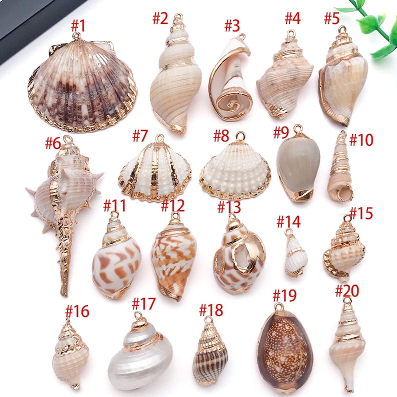 2pcs Seashell Charms Sea Shell Charms Gold Electroplated Natural Conch ...