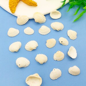 50pcs Natural Seashells/craft Seashells, Shells for Art, Bulk Seashells ...
