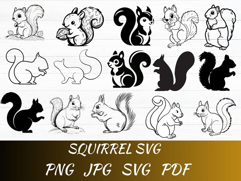 Squirrel SVG Bundle: Cricut Cut Files, Clipart, Silhouette (digital ...