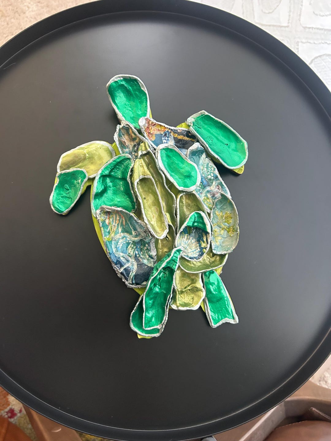 Oyster Shell Turtle, Mixed Pattern - Etsy