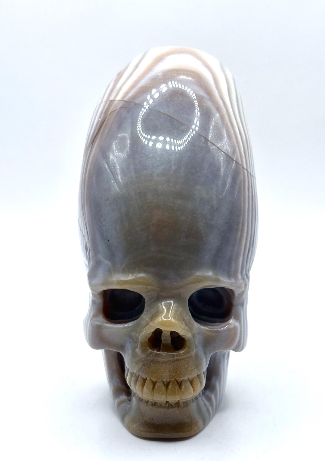 Banded Agate Elongated Skull Carving, Macabre Decor (2x1.9x3.8", 15oz ...