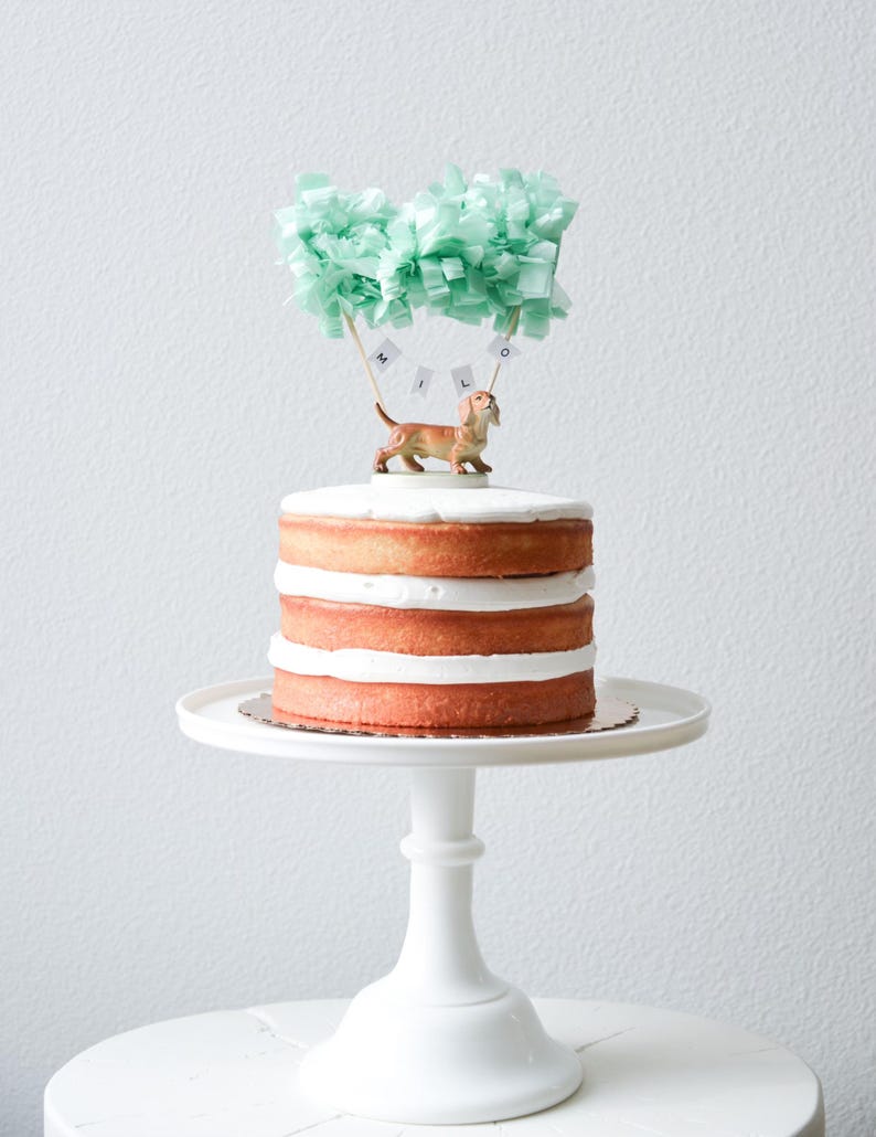 Fete Fringe Cake Topper by Potter + Butler - Etsy