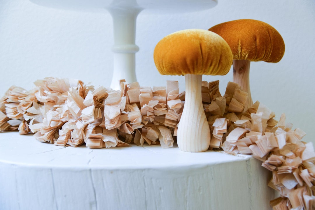 Fete Fringe Garland by Potter + Butler - Etsy