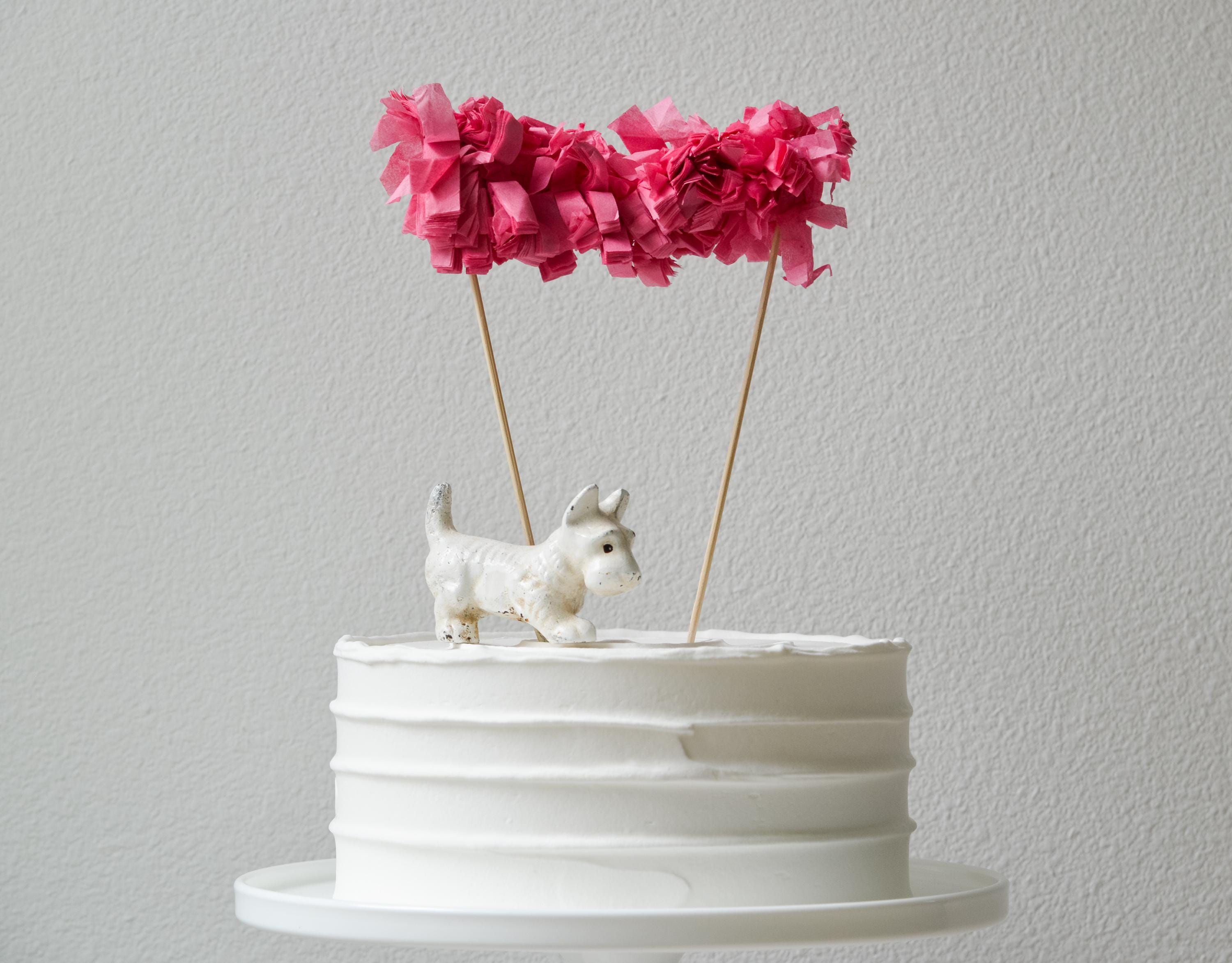 Fete Fringe Cake Topper by Potter + Butler - Etsy