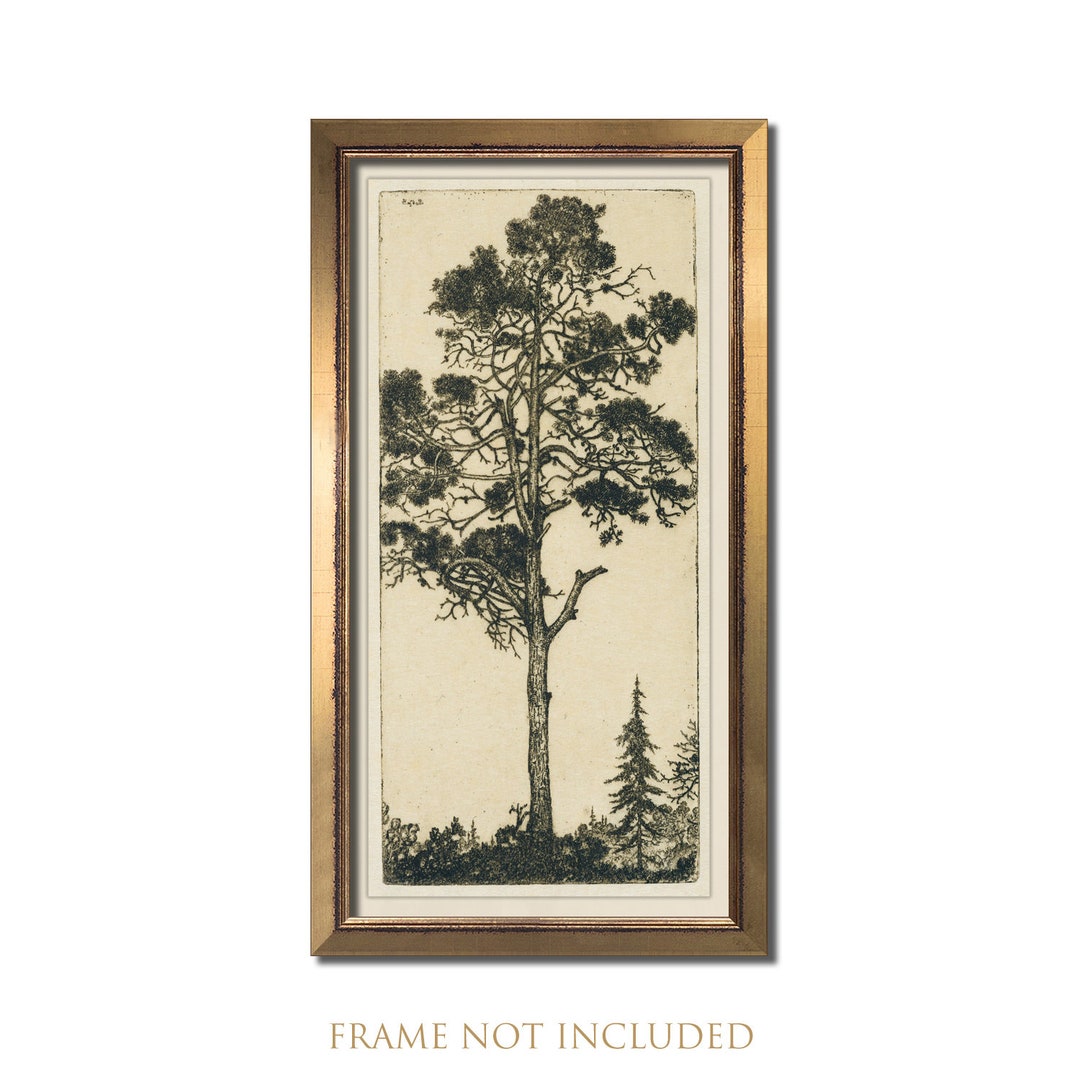Vintage Tree Etching Print, Antique Landscape Painting, Modern ...