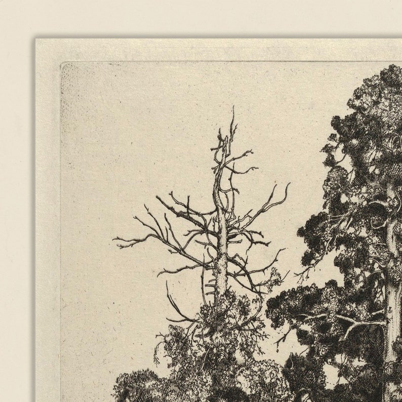 Vintage Tree Etching Print Antique Landscape Painting Modern - Etsy